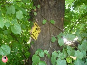 Battlebox Bear Grylls Dangerous Den Kit Day Out Review | Pinkoddy's Blog