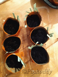 Learning the letter C with Carrots | Pinkoddy's Blog