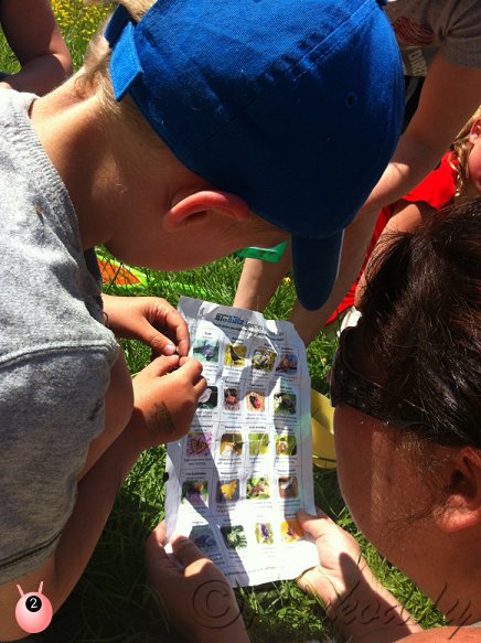 Bug Hunt with kids | Pinkoddy's Blog