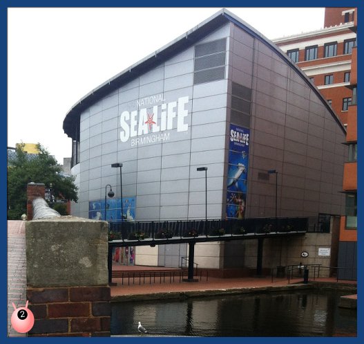Birmingham National Sea Life Centre & Poppy Cat #Review | Pinkoddy's Blog