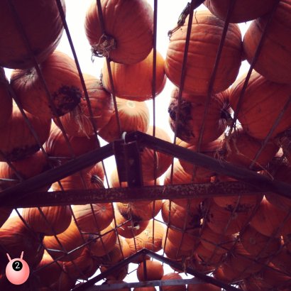 Frightmare OverFarm Gloucester | Pinkoddy's Blog