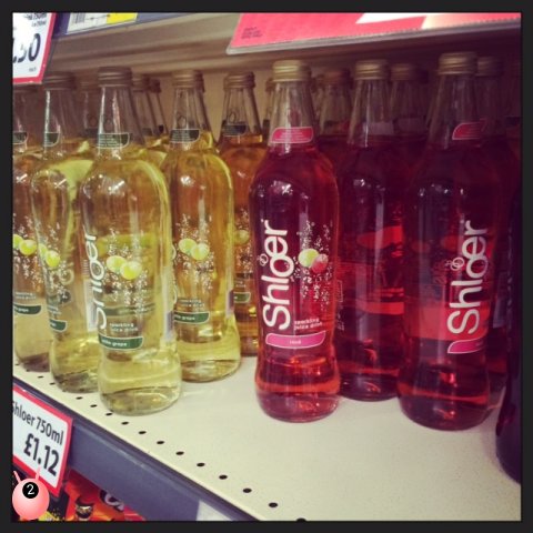 Shloer Celebration | Pinkoddy's Blog