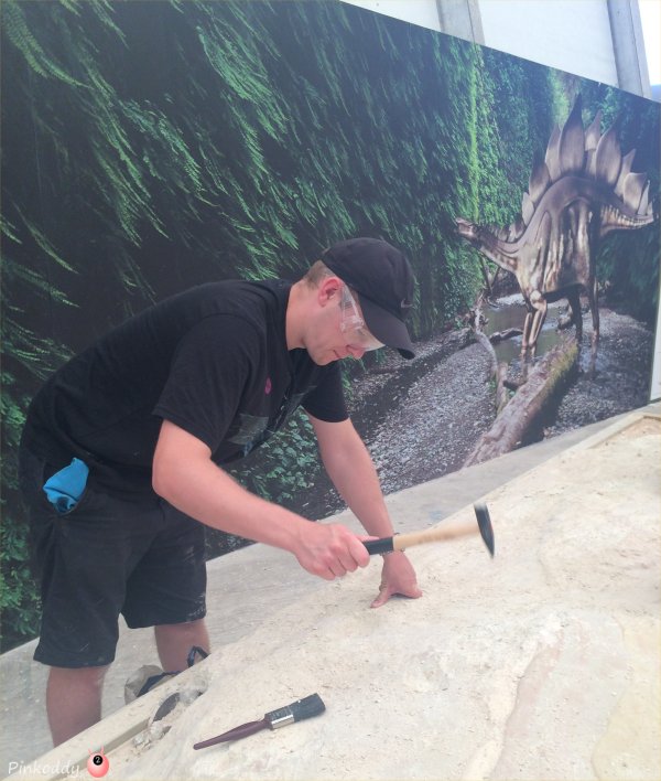 Dinosaurs Unleashed - The Eden Project | Pinkoddy's Blog