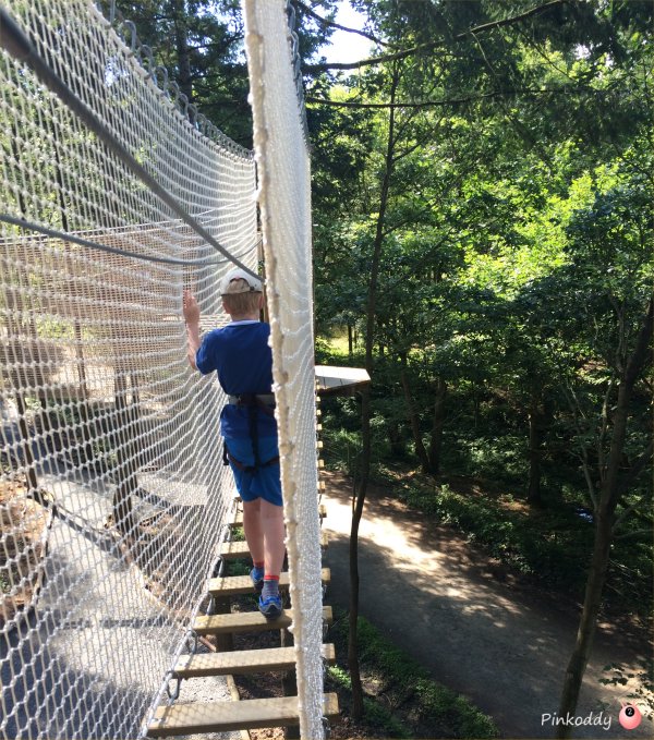 Go Ape Tree Top Junior Wyre Forest | Pinkoddy's Blog