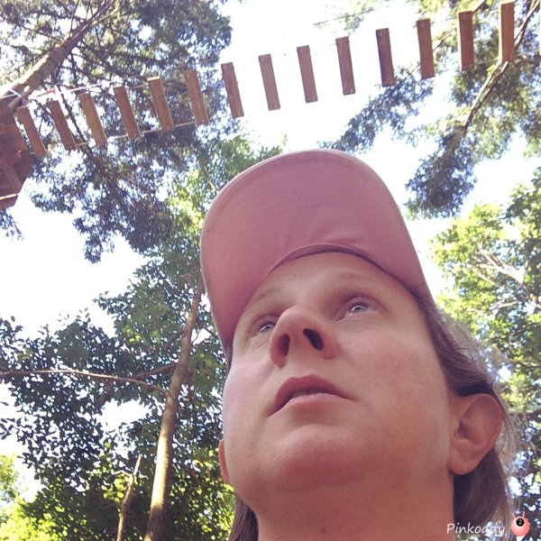 Go Ape Tree Top Junior Wyre Forest | Pinkoddy's Blog