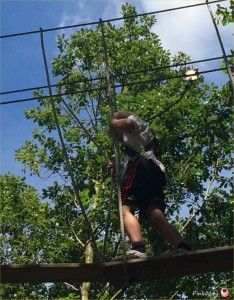 Go Ape Tree Top Junior Wyre Forest | Pinkoddy's Blog