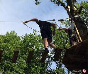Go Ape Tree Top Junior Wyre Forest | Pinkoddy's Blog