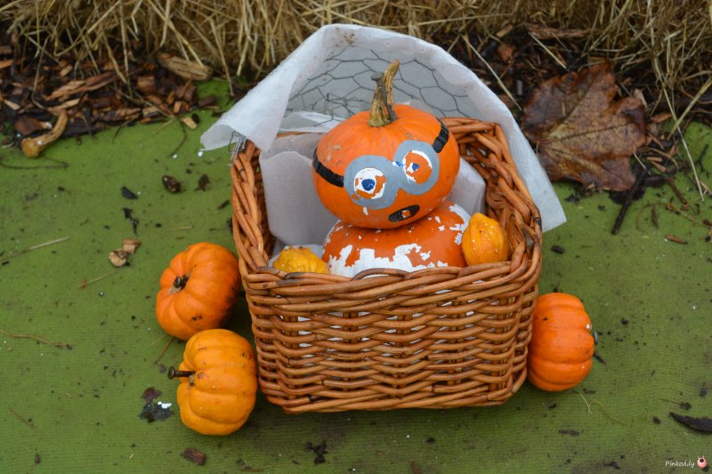 Over Farm Market Halloween | Pinkoddy's Blog