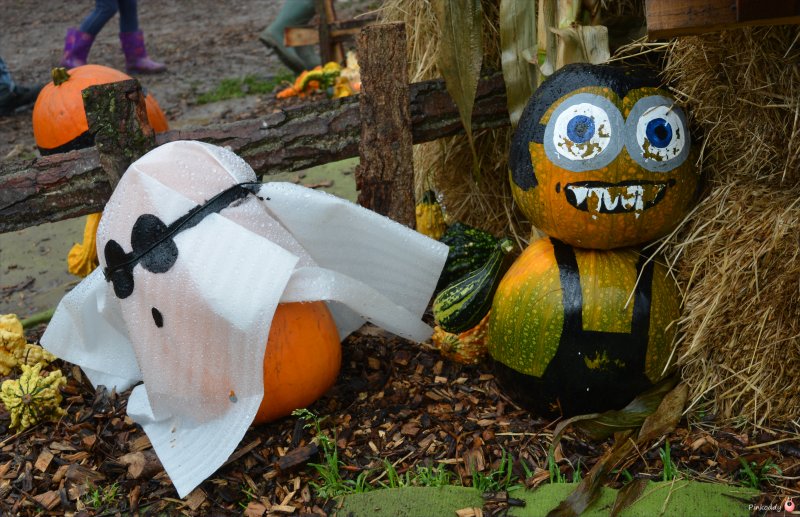 Over Farm Market Halloween | Pinkoddy's Blog