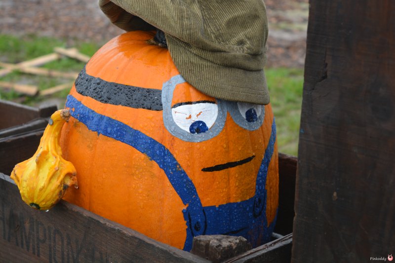 Over Farm Market Halloween | Pinkoddy's Blog