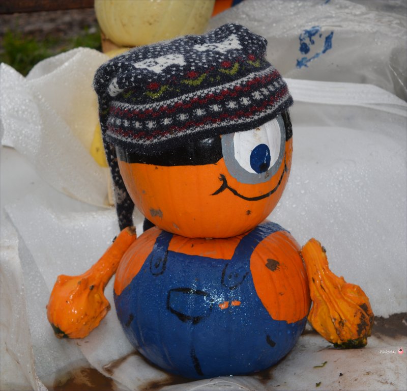 Over Farm Market Halloween | Pinkoddy's Blog