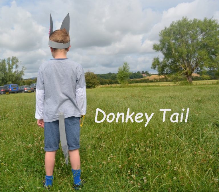 Home made donkey costume | Pinkoddy's Blog
