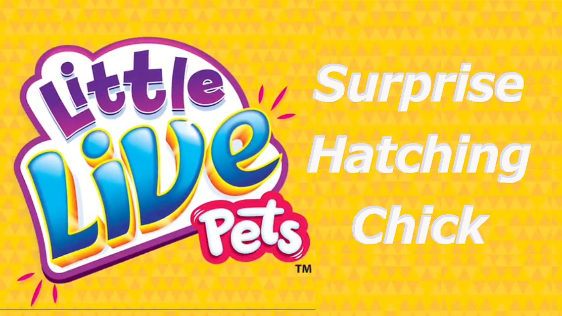 Little Live Pets Hatching Surprise Chick Review | Pinkoddy's Blog