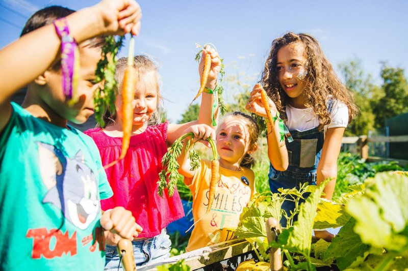 Big Feastival 2018 | Pinkoddy's Blog