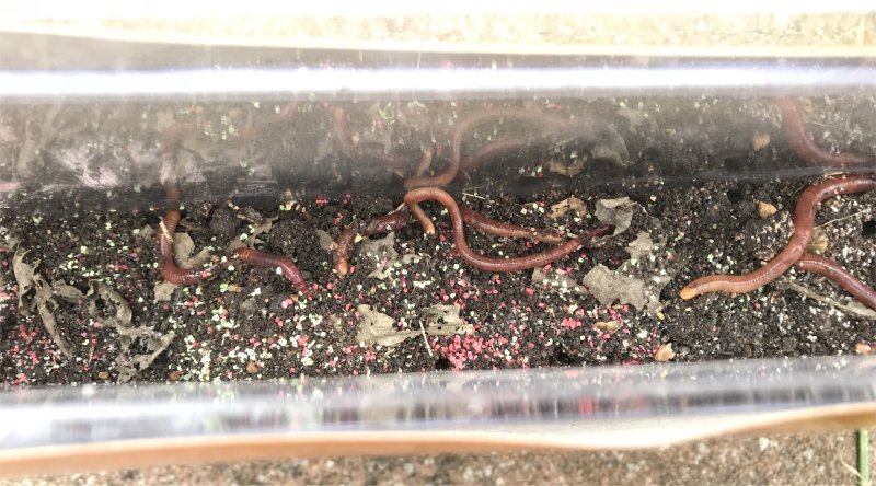 Fun Learning with Interplay’s My Living World | Pinkoddy's Blog