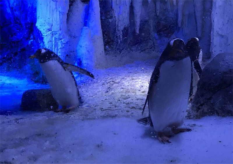 Information about which Merlin Attractions are in London | Pinkoddy's Blog