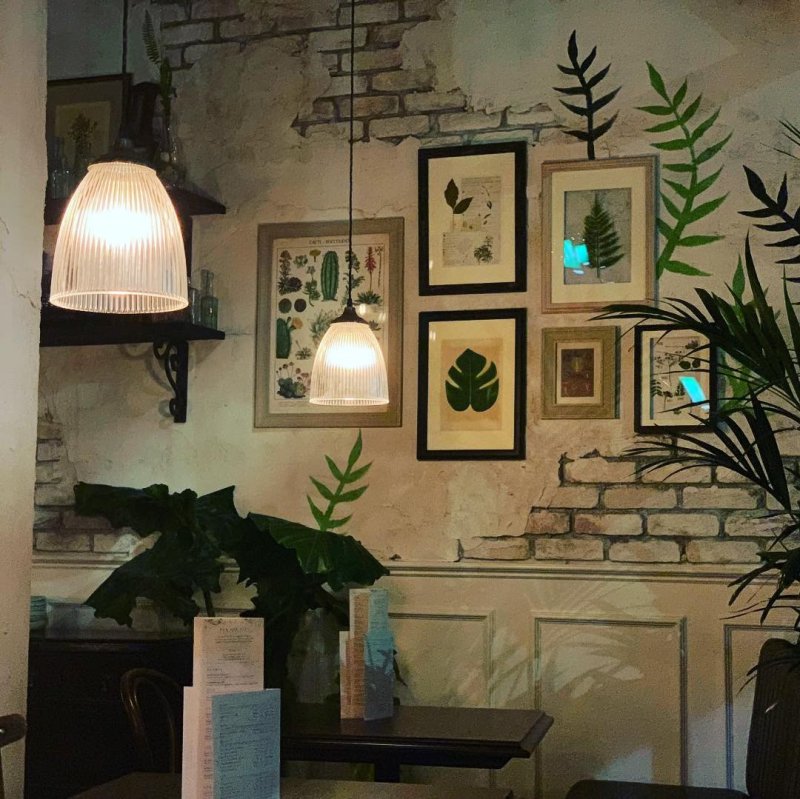 The Botanist Cheltenham | Pinkoddy's Blog