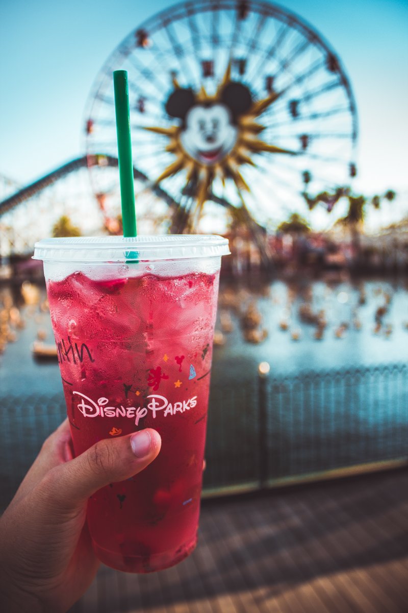 How to do Disney World on a Budget | Pinkoddy's Blog