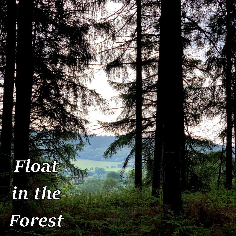 float in the forest | Pinkoddy's Blog