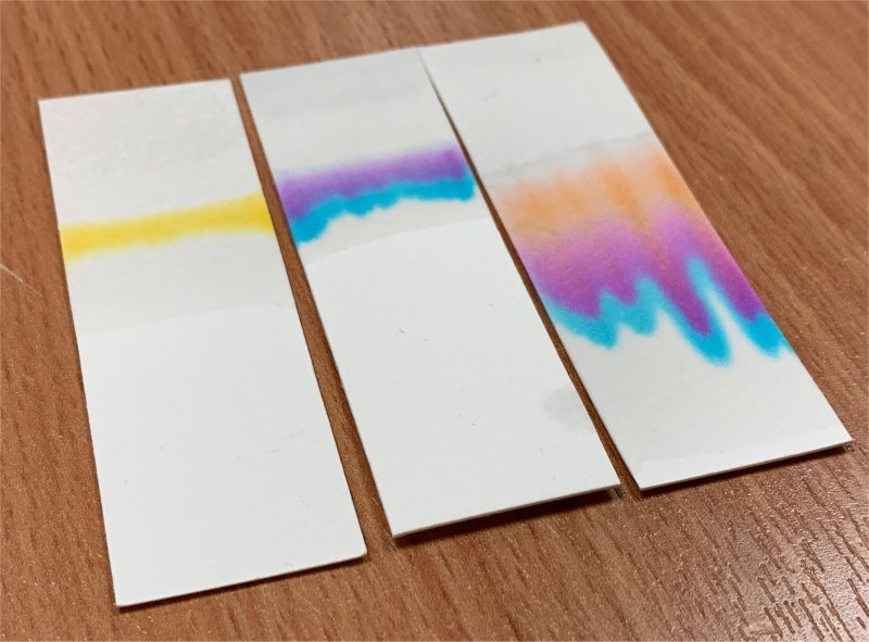 Letterbox Lab Science Subscription Box Review | Pinkoddy's Blog