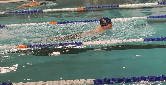 The Swimming Journey | Pinkoddy's Blog