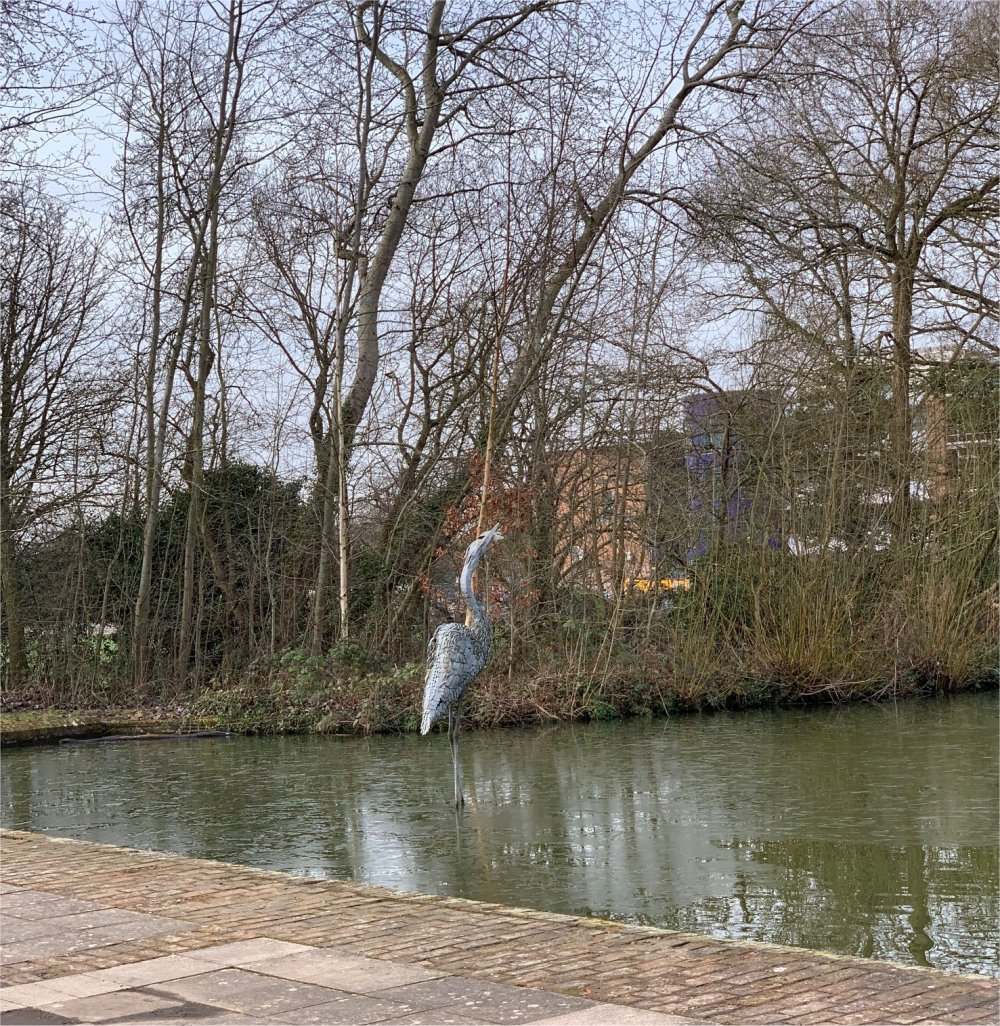 Information on Worcester Parkrun at Worcester Woods Pinkoddy